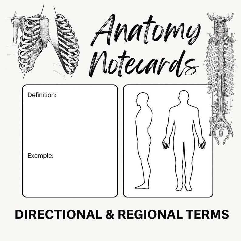 Anatomy Notecards - Directional and Regional Terms | Editable Study ...