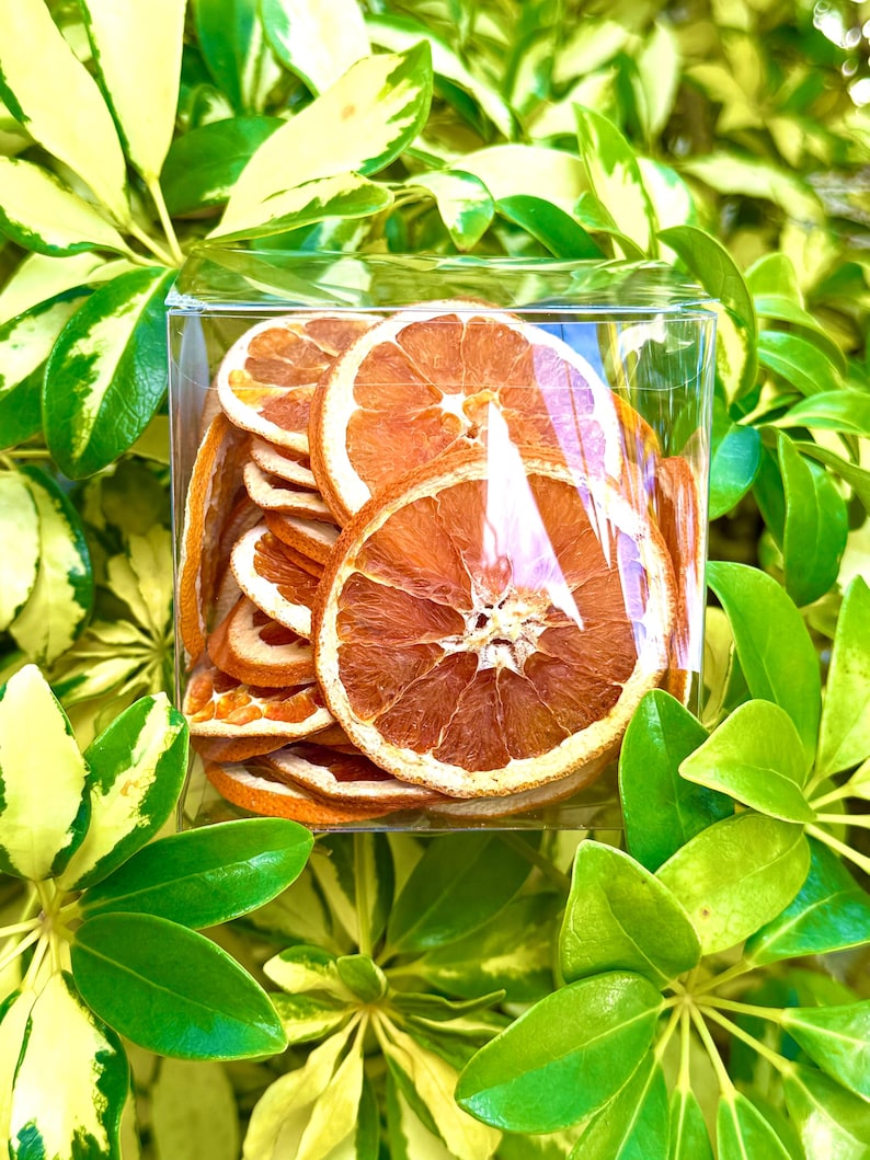 Dehydrated Orange Slices: Craft, Drinks, Soaps, and Decor - 30+ - Etsy