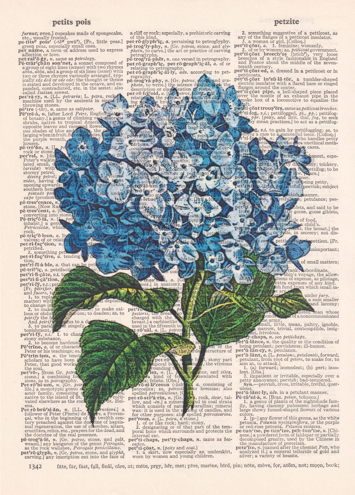 Blue Hydrangea Print, Vintage Botanical Art, Gift for Gardener, Flower ...
