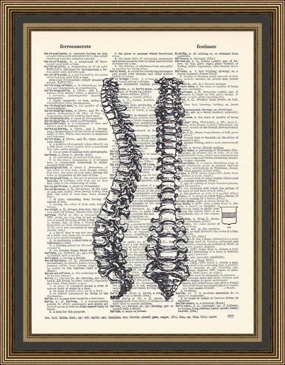 Skeleton Spine Illustration Printed on a Vintage Dictionary Page ...