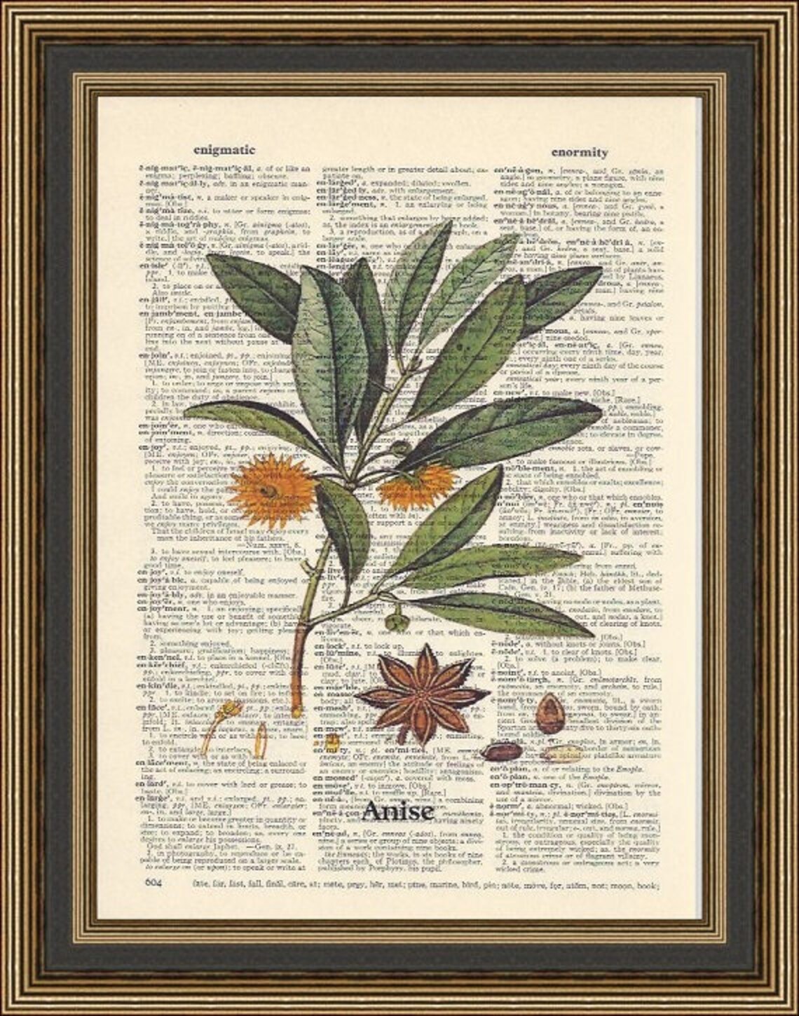 Anise Spice Botanical Illustration. Spice Wall Decor, Kitchen Herbs Art ...