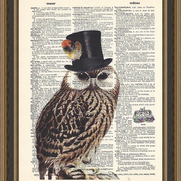 Bird Dictionary Art - Etsy