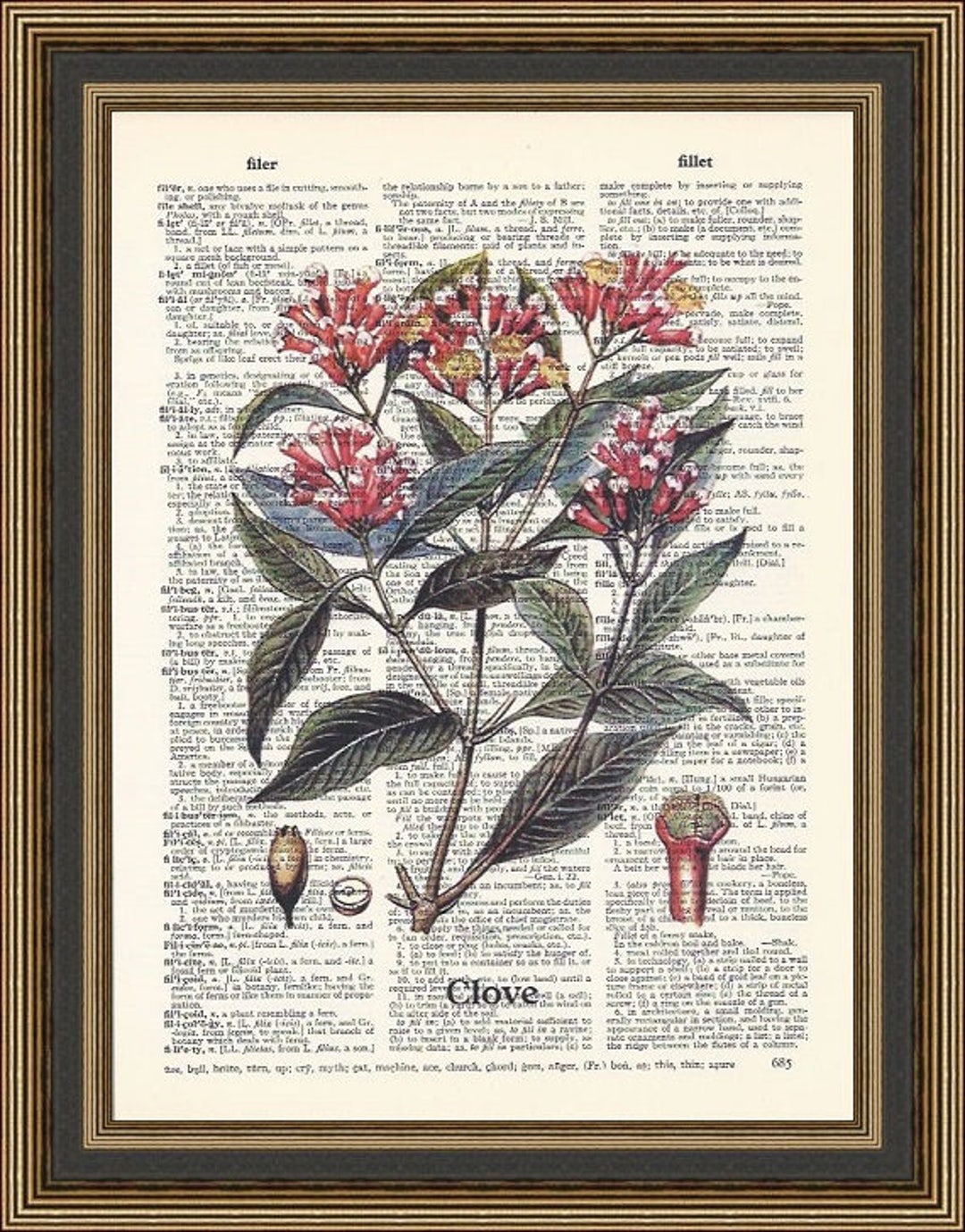 Clove Botanical Illustration, Kitchen Wall Decor, Herbs and Spices ...