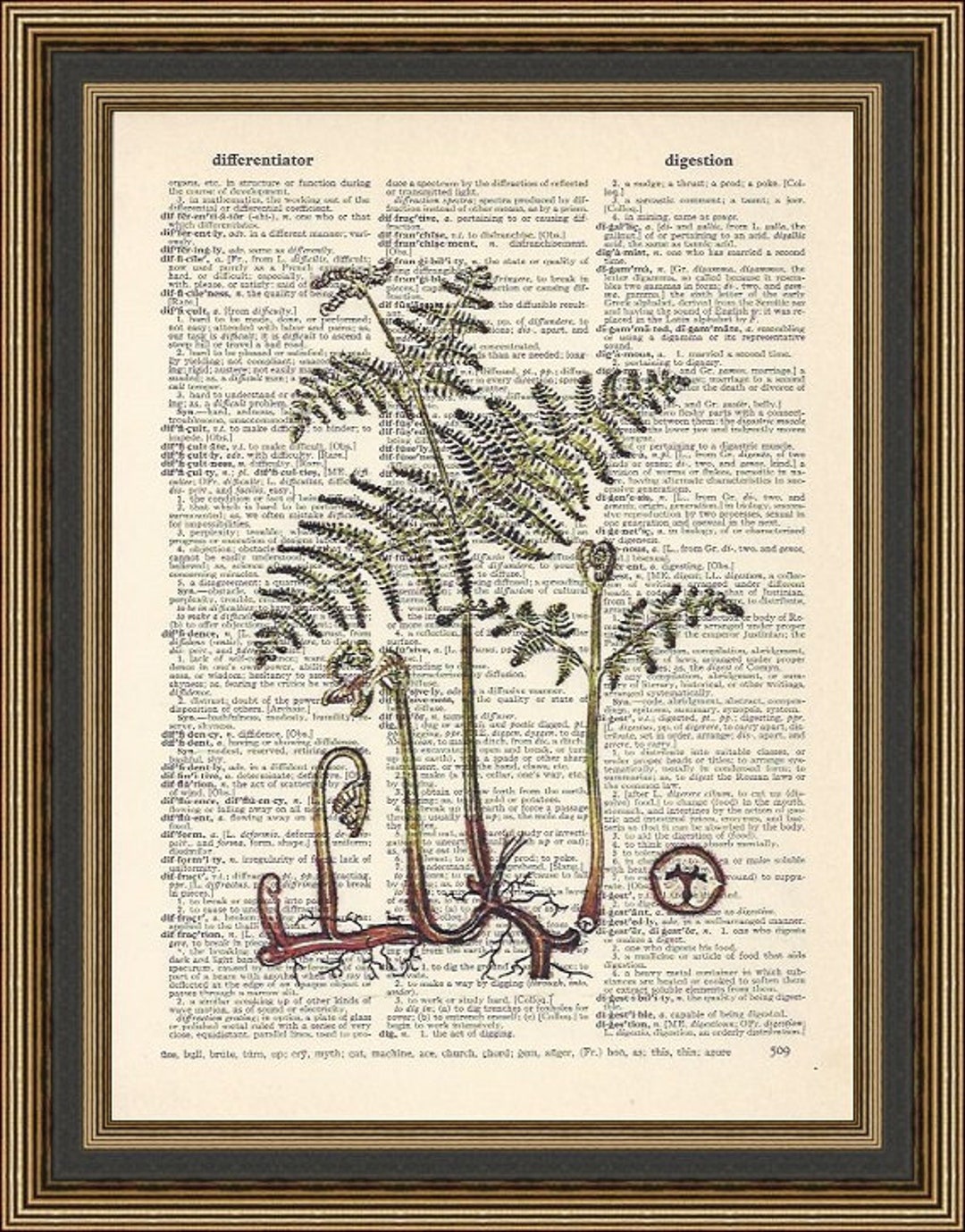 Fern Print #7 Antique Illustration Printed on a Dictionary Page ...