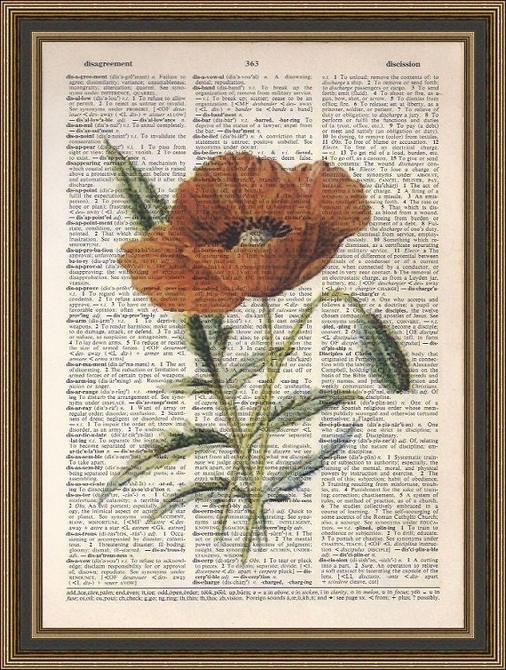 Gorgeous red poppy vintage illustration printed on a vintage | Etsy