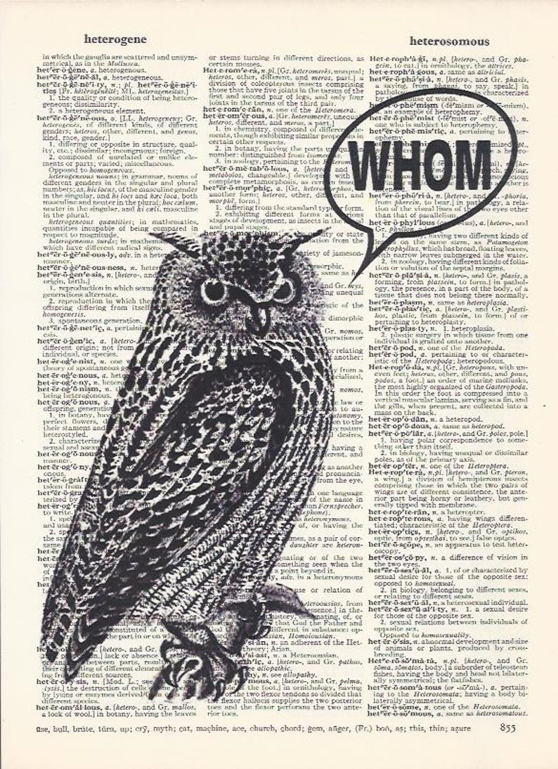 Owl Whom Grammar Typography Illustration Printed on a Vintage ...