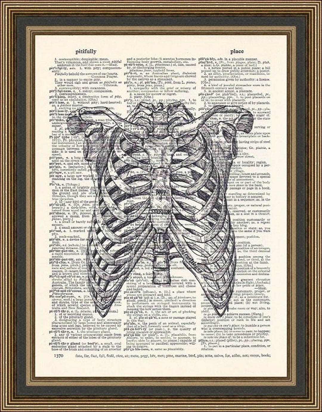 Skeleton Rib Cage Vintage Illustration Printed on a Dictionary Page ...
