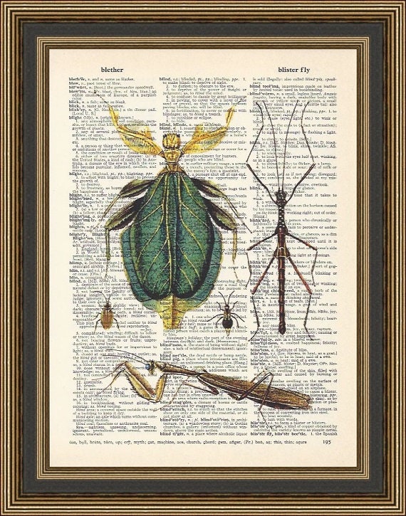 Insect Print, #2, Beetle Poster, Bug Decor, Entomology Gift, Biology ...