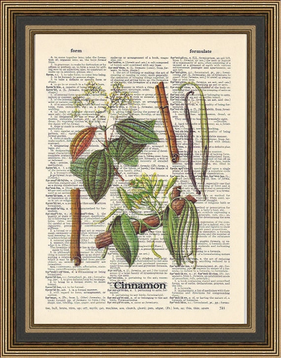 Botanical Cinnamon Plant Illustration Print. Kitchen Spice | Etsy