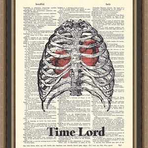 Doctor Who Time Lord Skeleton Showing His Two Hearts Printed - Etsy