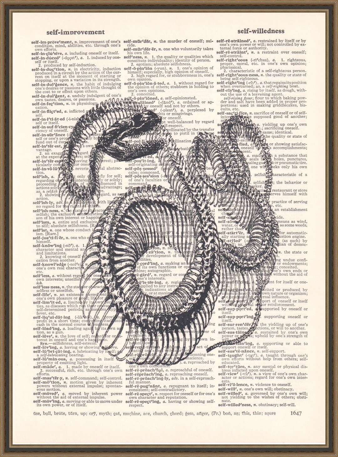 Vintage Snake Skeleton Print, Reptile Poster, Natural History Art ...