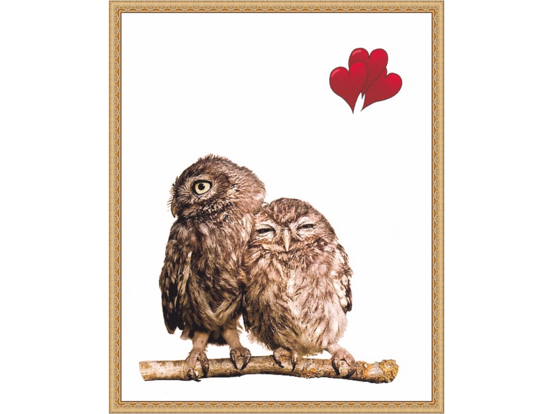 Owl Love Print, Anniversary Gift, Wedding Art, Couples Wall Decor, Red ...