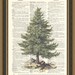 Christmas Tree Print, Holiday Poster, Dictionary Art, Forest Wall Decor ...