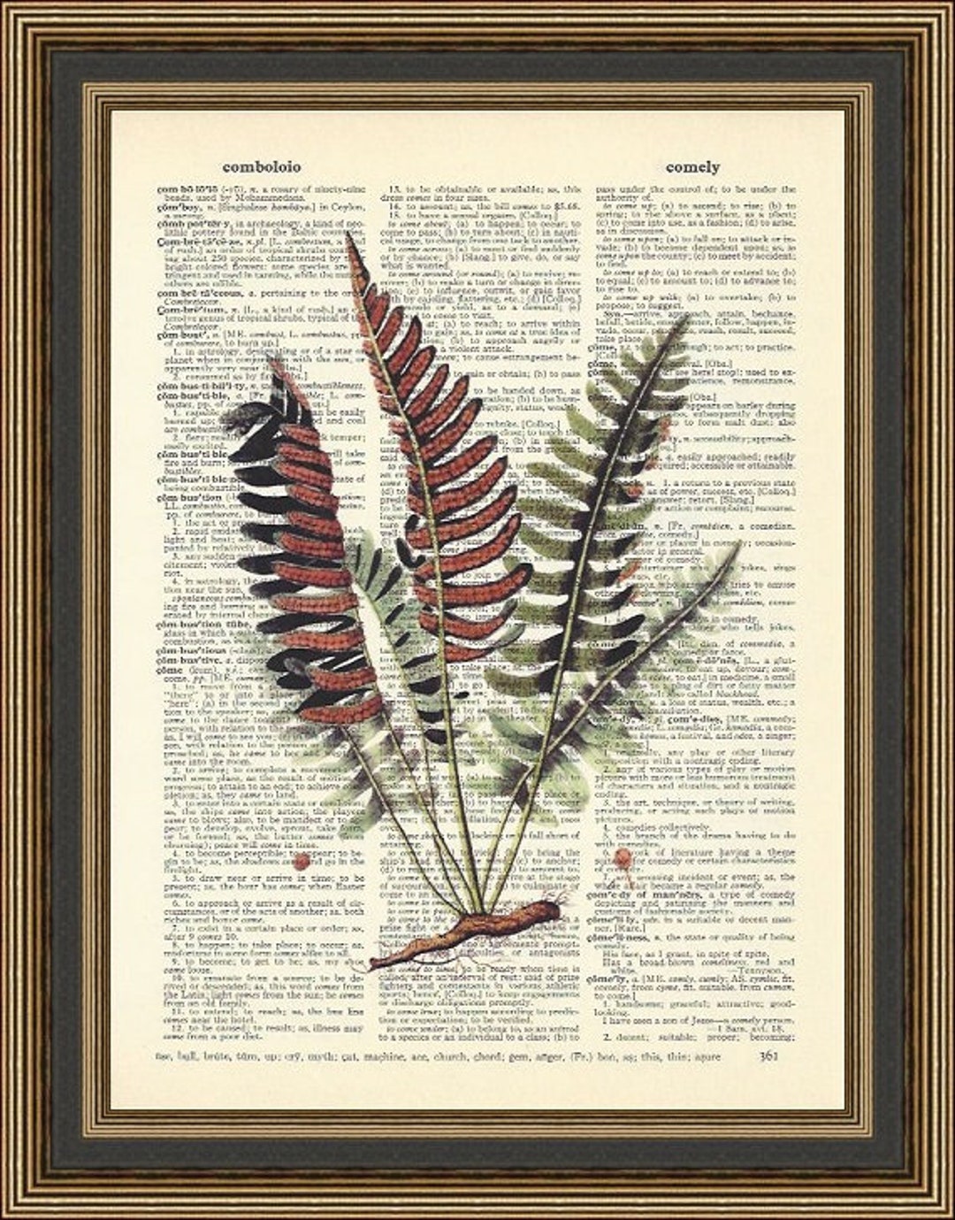 Fern Print #6 Antique Illustration. Botanical Wall Decor, Garden Poster ...