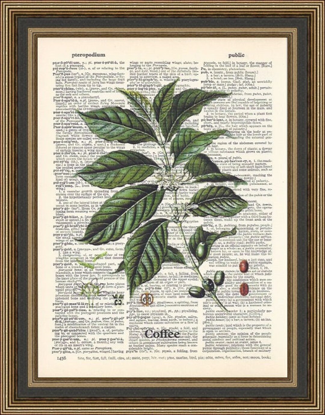 Coffee Plant Print. Botanical Coffee Illustration, Kitchen Home Decor ...