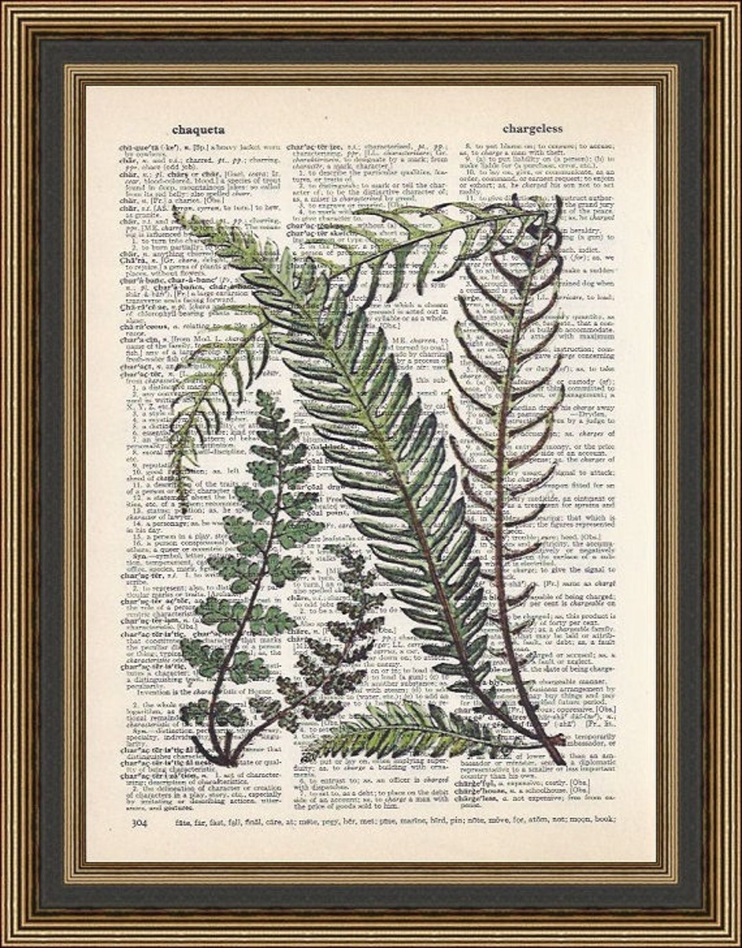 Fern Print # 3 Vintage Illustration Printed on a Dictionary Page. Fern ...
