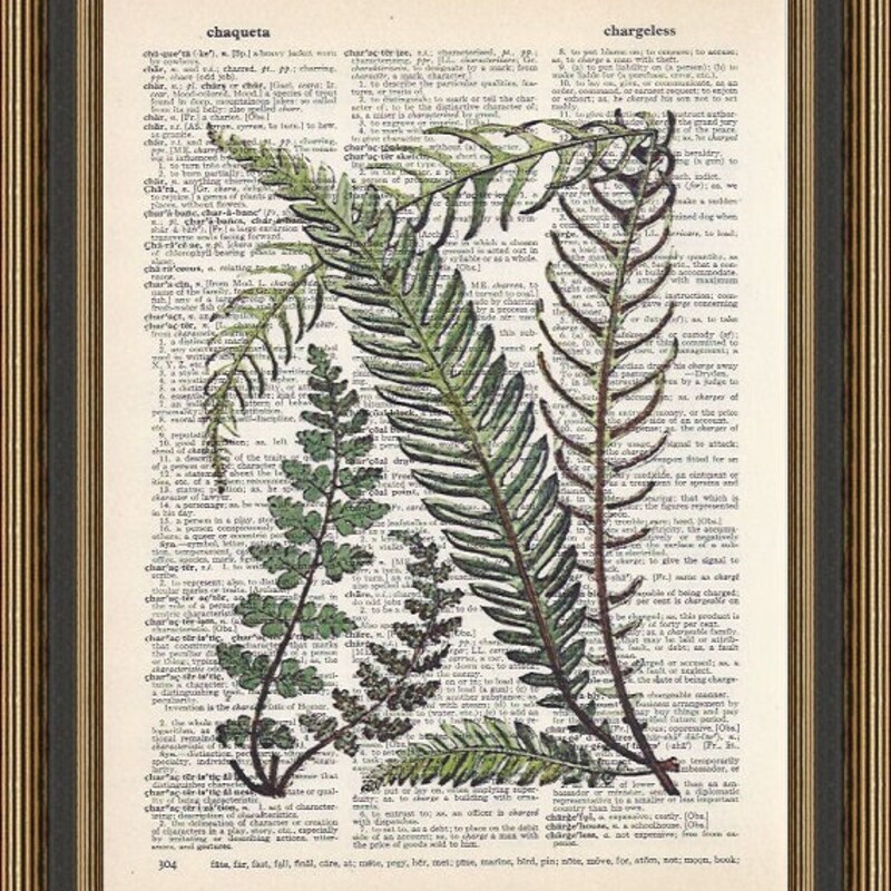 Fern Art - Etsy