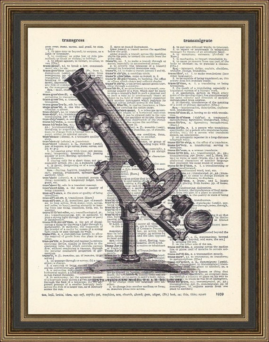Antique Microscope Illustration Printed on a Vintage - Etsy
