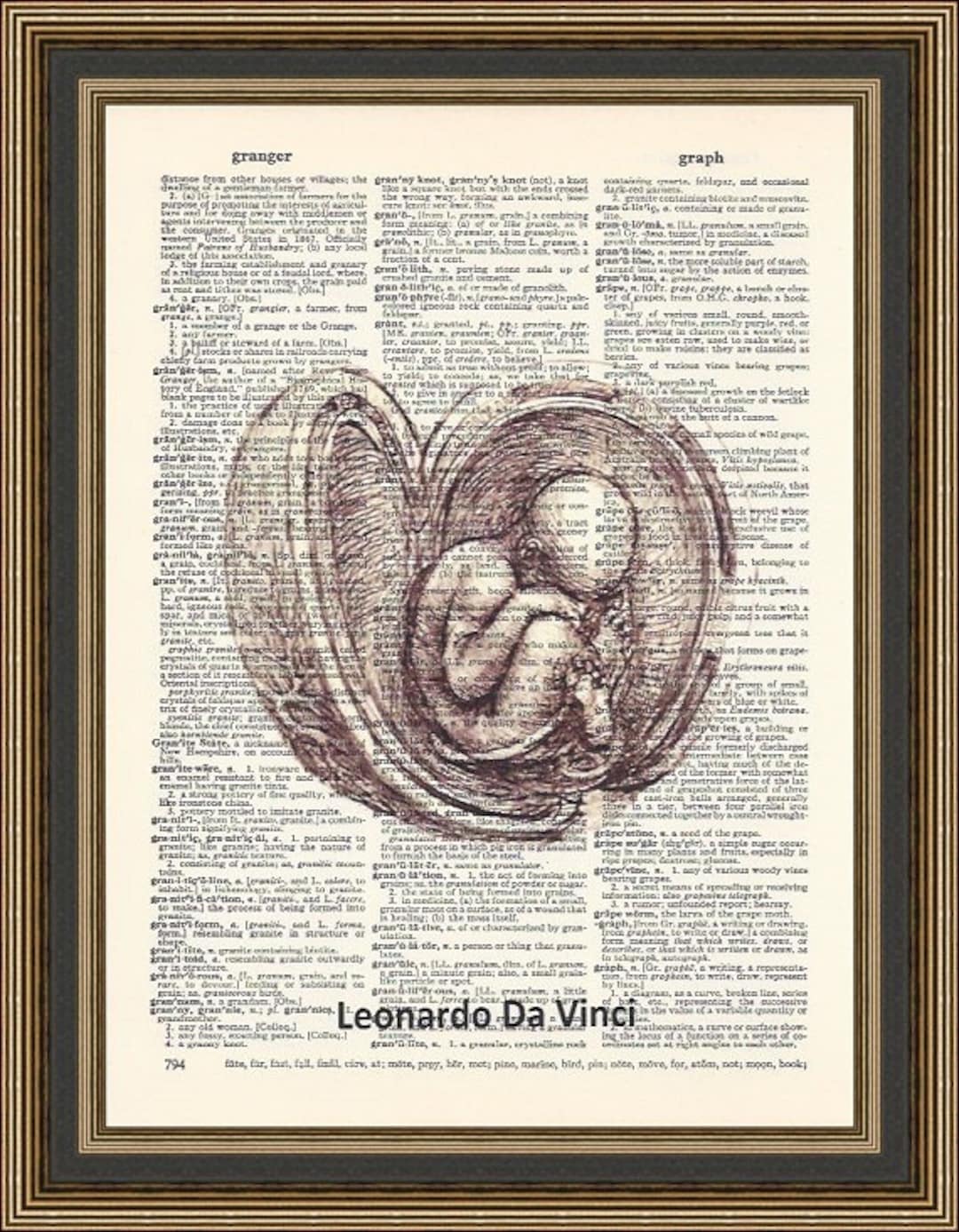 Leonardo Da Vinci Baby in the Womb Sketch Printed on a Vintage ...