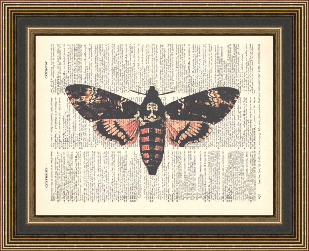 Death Head Hawk Moth Print, Insect Poster, Entomologist Gift, Bug ...