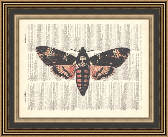 Death Head Hawk Moth Print Insect Poster Entomologist Gift - Etsy