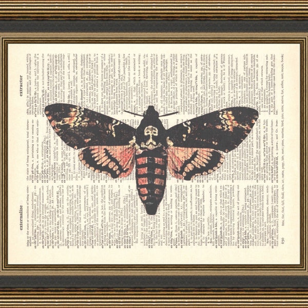 Death Head Moth - Etsy