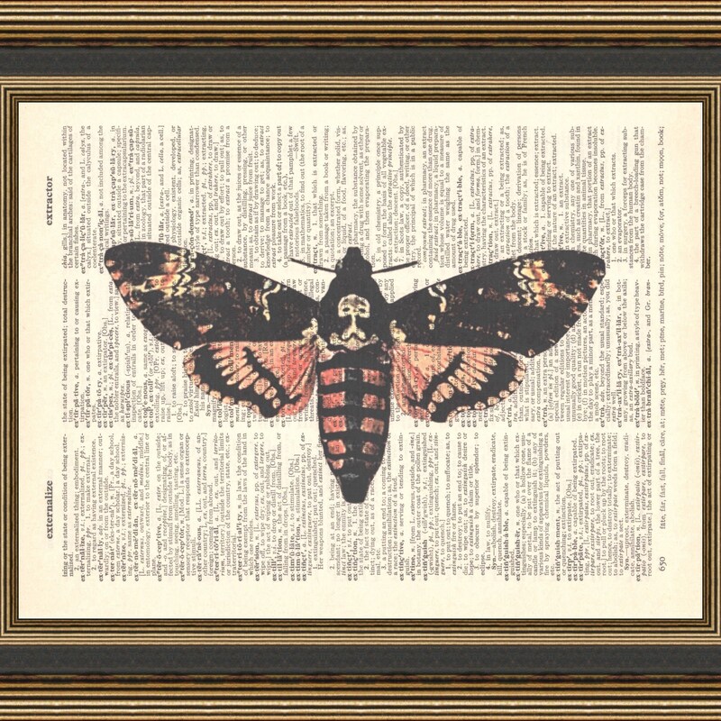 Moth Print - Etsy