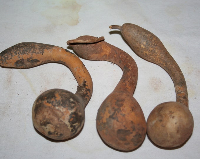 Three Mini Dipper Gourds, Uncleaned - Etsy