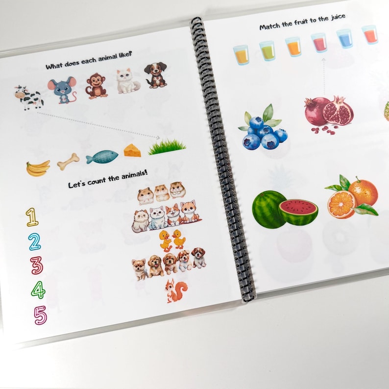 Personalized Write & Wipe Activity Book for Toddlers | Reusable ...