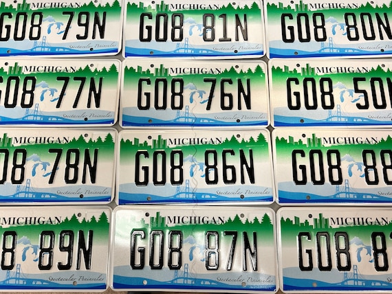 Michigan License Plate Logo