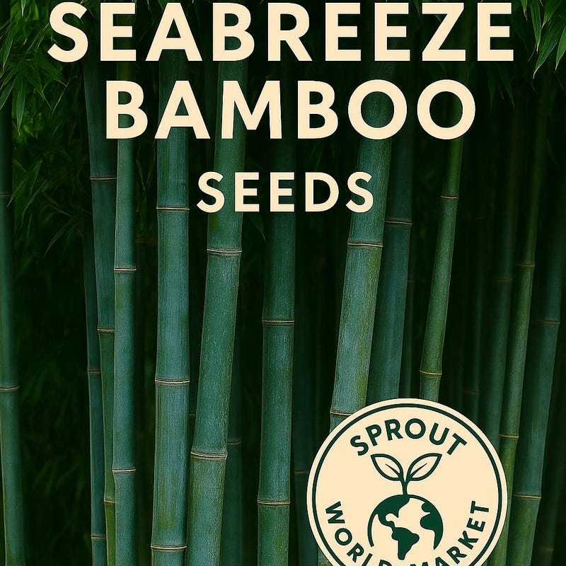 Green Hedge Bamboo Plants - Etsy
