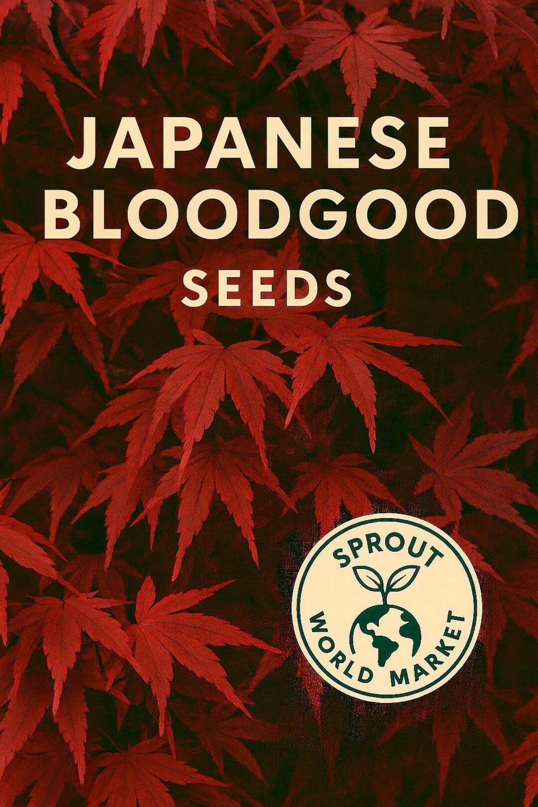 10 Bloodgood Japanese Maple Seeds – Ornamental Tree – Crimson Red ...