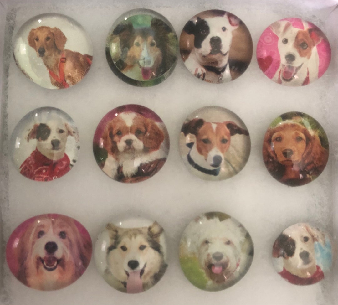 Set of 12 Dog Glass Thumbtacks Push Pins Home Office Workplace Dog ...