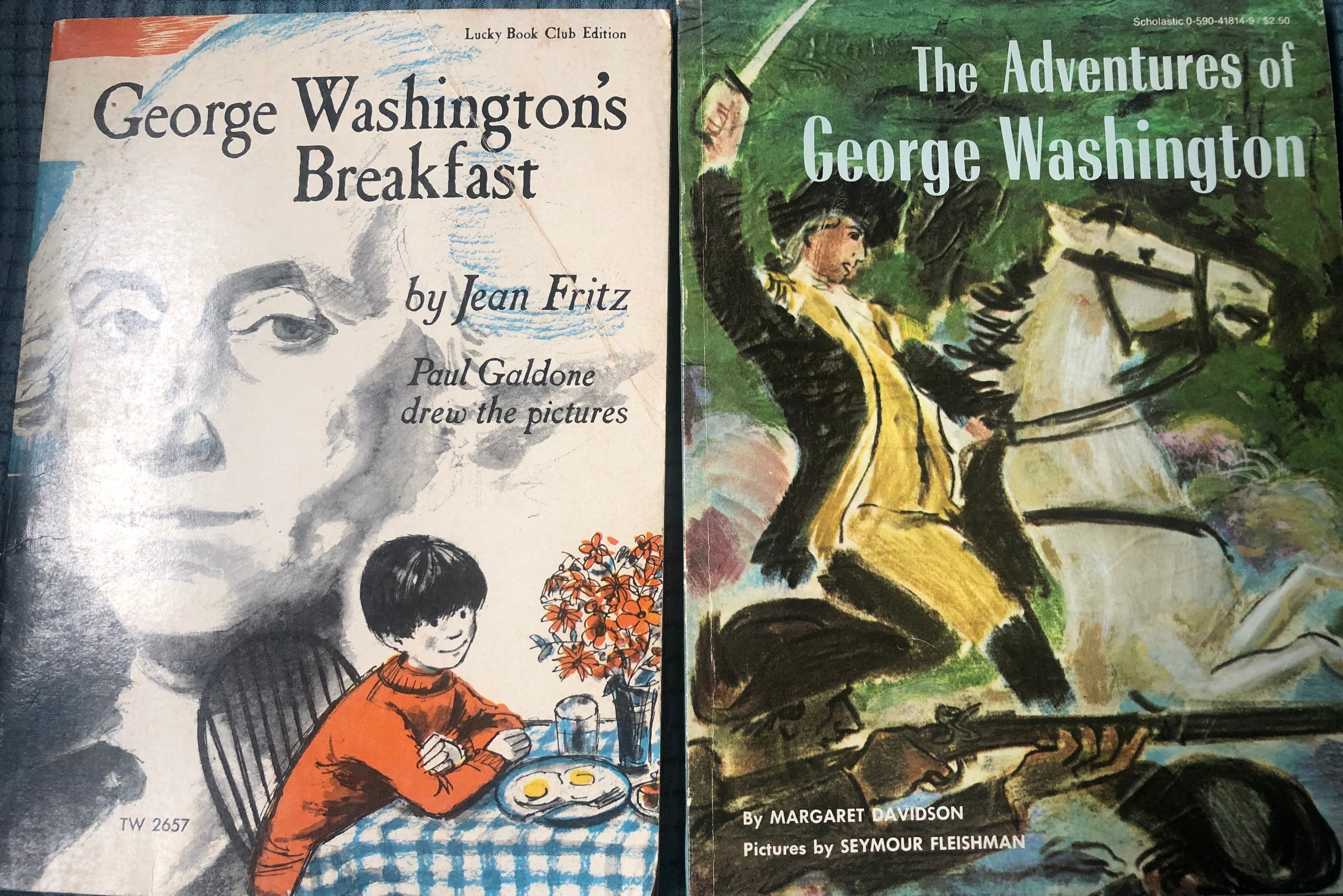 George Washington Book Cover