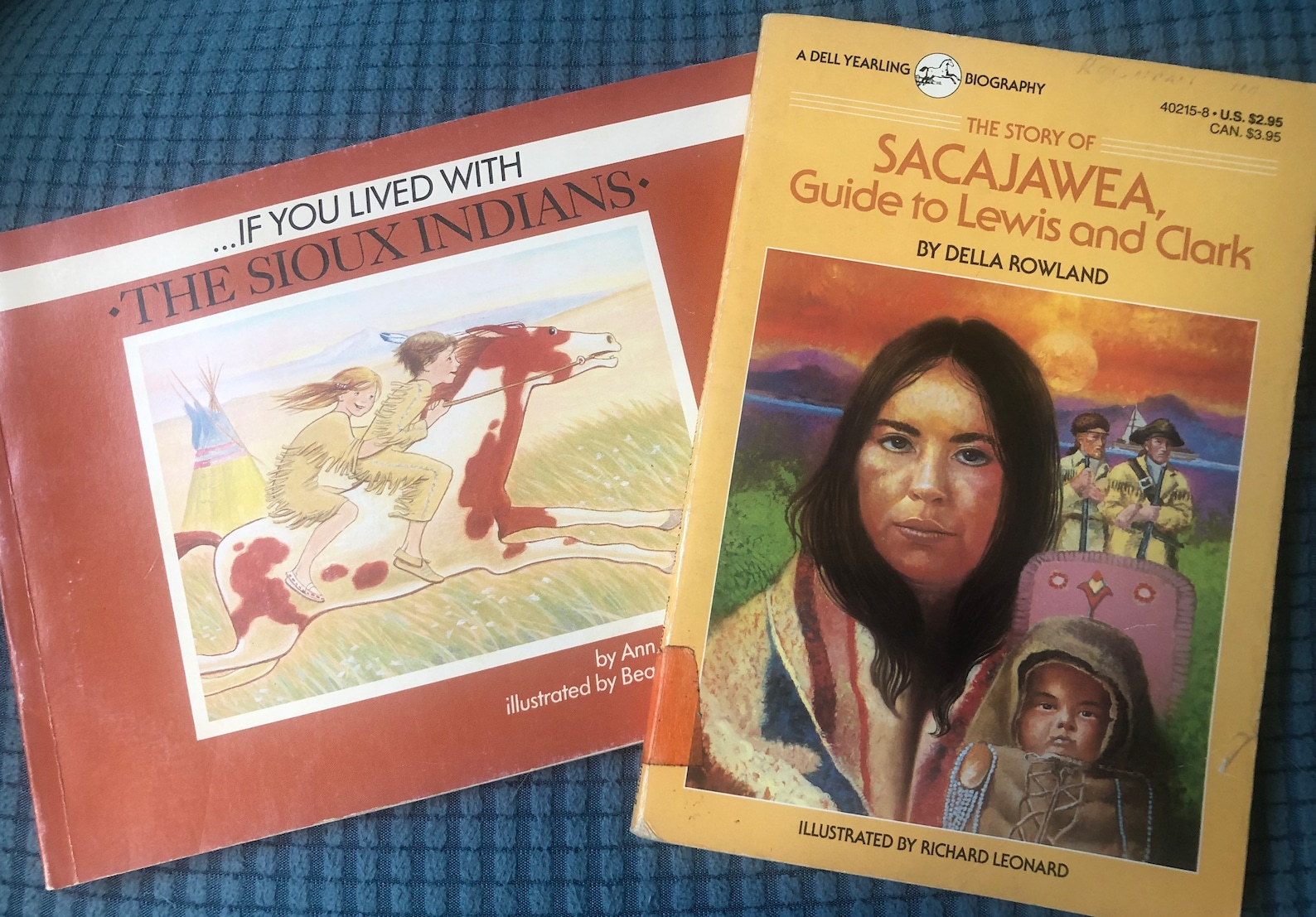 Set of 2 Native American Books - If You Lived With the Sioux and ...