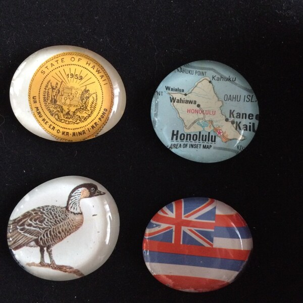 Hawaii Magnet - Etsy