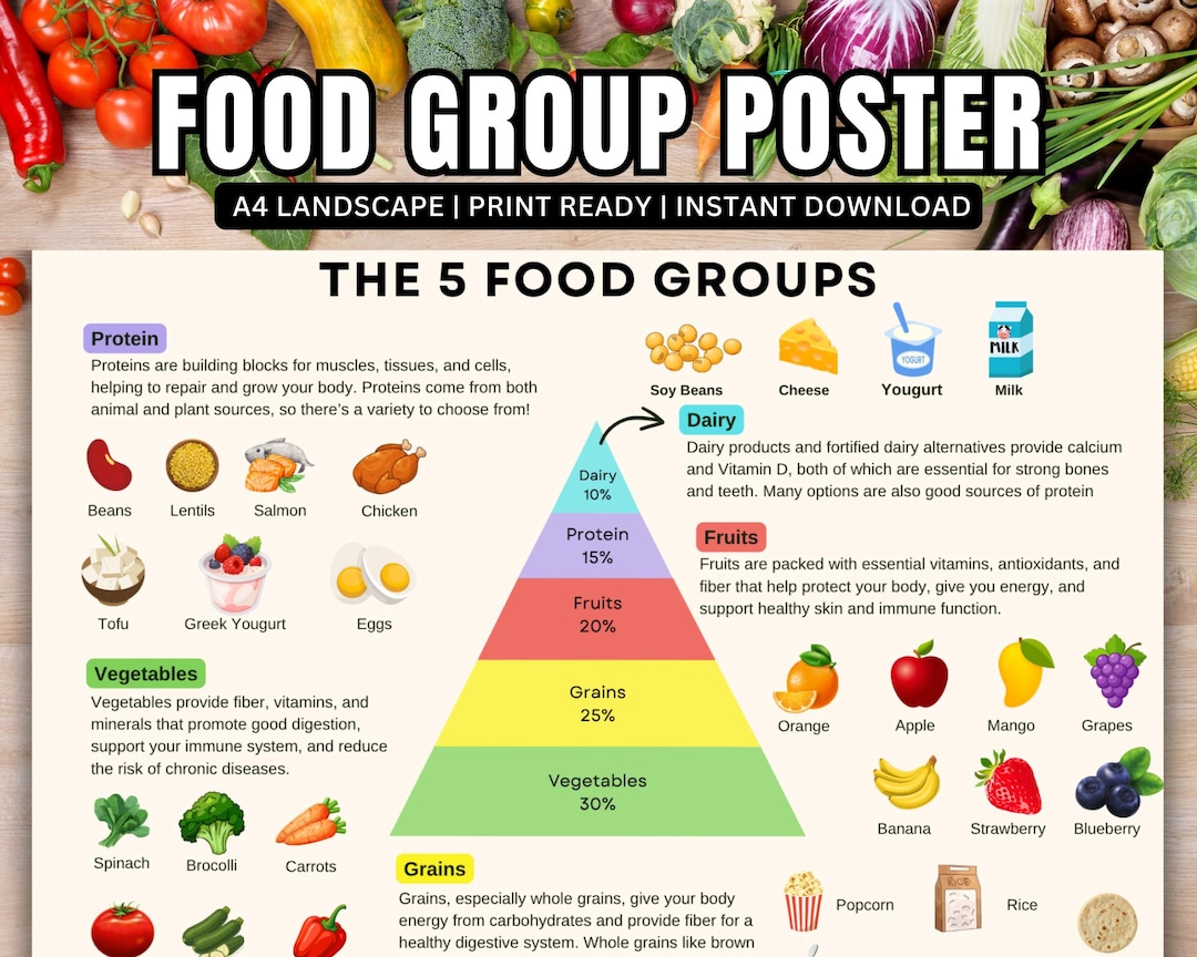 Printable Food Group Poster, Kids Food Chart, Educational Daily ...