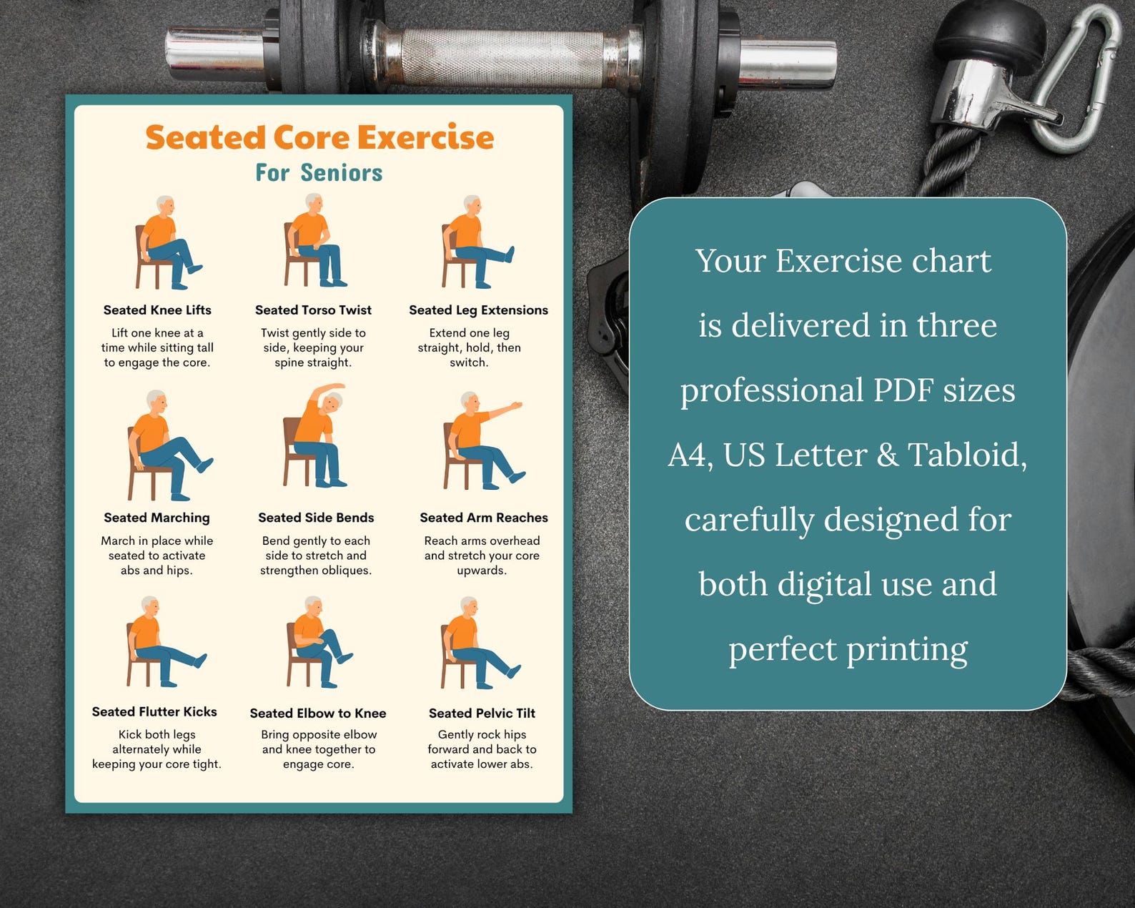 Seated Chair Core Exercises for Seniors – Gentle Chair Core Workout ...