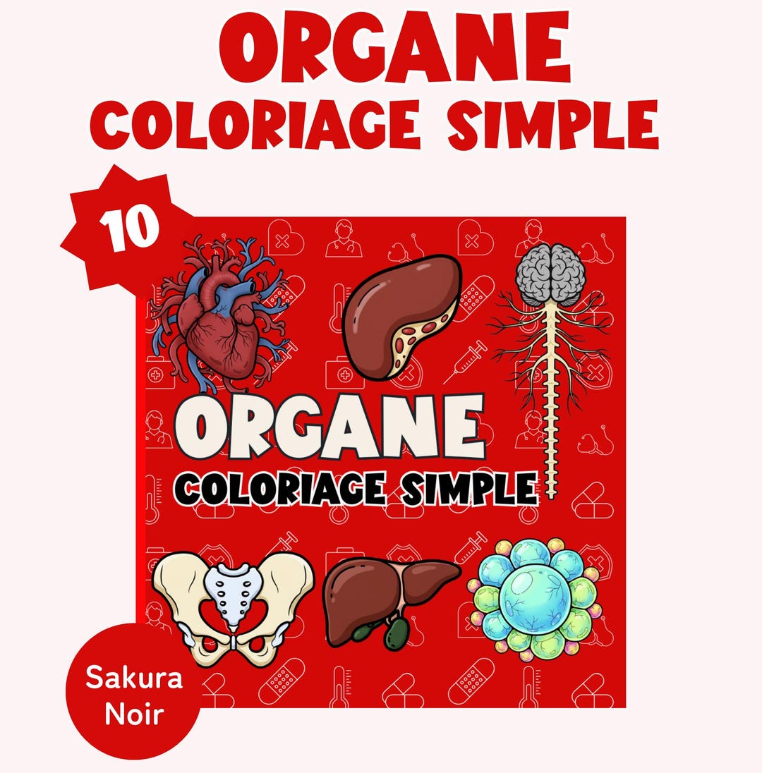 Organs – Simple Coloring Pages | Human Body & Easy Anatomy | Printable ...