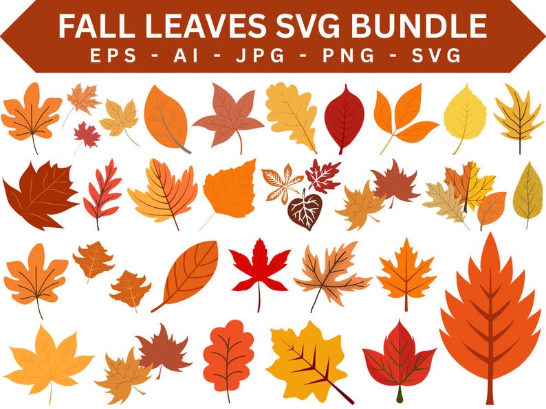 Fall Leaves SVG Clipart Bundle, Autumn Thanksgiving Decor (digital ...