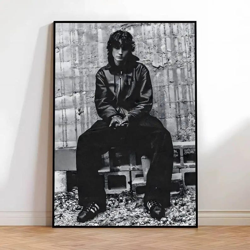 Sombr Singer Poster, Black and White | No Framed - Etsy