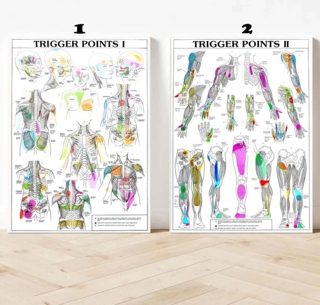 Trigger Points 1 2 Anatomical Diagram Guide Chart Anatomy 1 Print ...