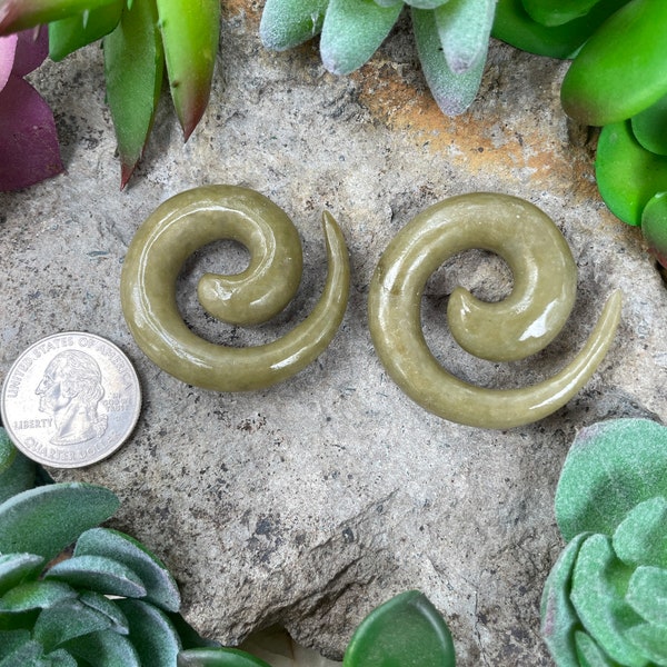 Spiral Gauges - Etsy