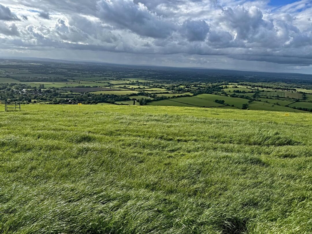 Scenic Nature Wall Art: Wide Open Grasslands & Horizon View (digital ...