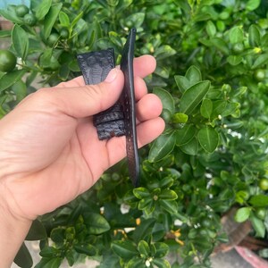 32mm Black Genuine Python Leather Watch Wrist Strap Band Buckle ...