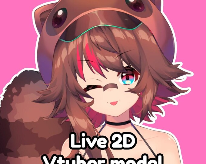Raccoon Girl Live2d Vtuber Model | Premade Animated Avatar - Etsy