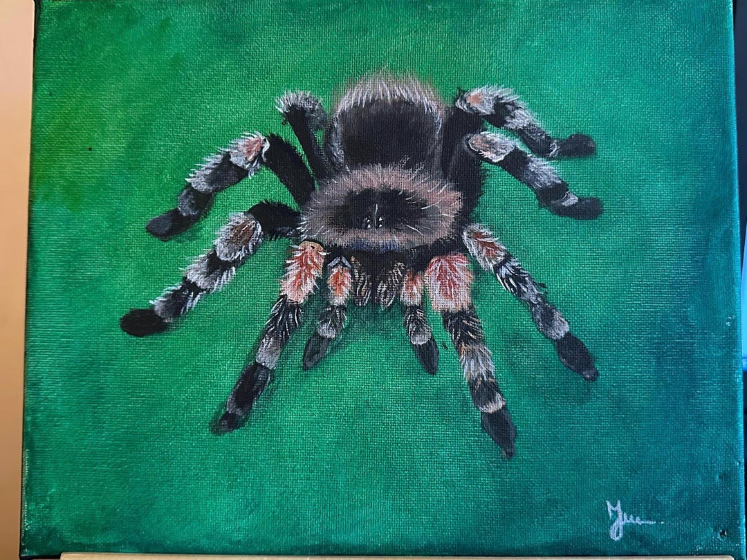 Original Mexican Red-knee Tarantula Acrylic Painting – 20x26 Cm Canvas ...