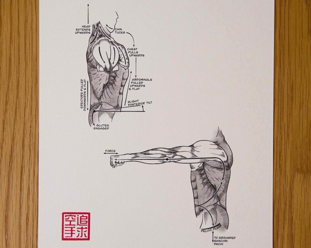 Karate Wall Art | Chain of Engagement Version 1 – Sanchin Kata Standard ...