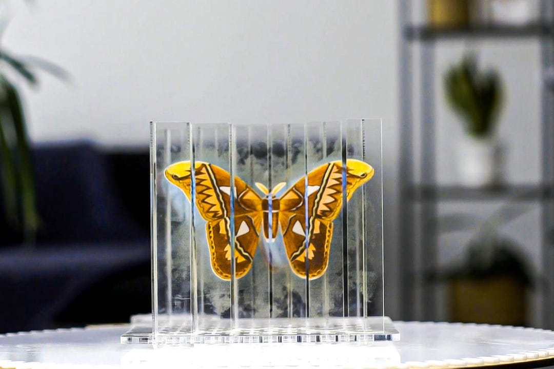 3D Butterfly Photo Cube Art, Custom Family Gift, 3D Picture Display ...