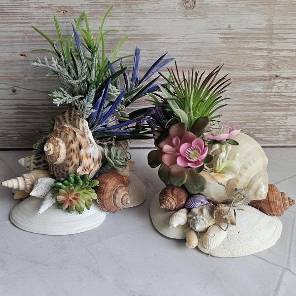 Seashell Centerpiece - Etsy